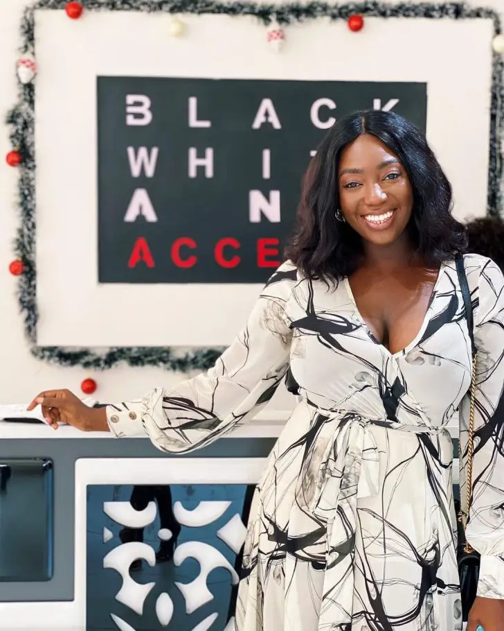 Aku Akuffo, Biography, Education, Family, Age, Career, » GhLinks.com.gh™