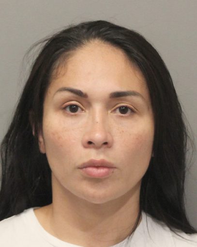 Nazly Ortiz: How a 40-year-old woman fired 2 shots at car during road ...