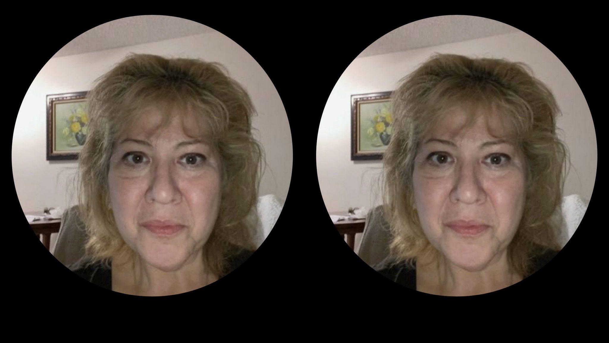 Susan Lorincz: What we know about the suspect in Ajike Owens murder ...