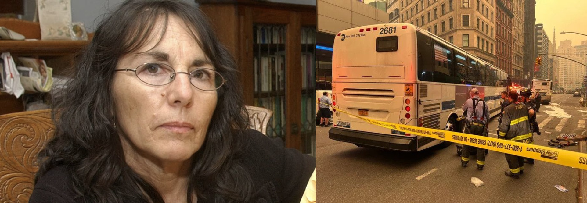 Roberta Lehrman, Manhattan: What we know about the Brooklyn woman lost ...