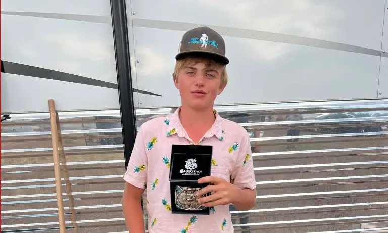 Two teenage boys, 15, found dead in 'murder suicide' at Arizona beauty ...