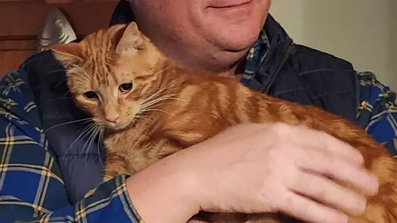 Octavia Redmond: USPS letter carrier shot to death on Chicago's South ...